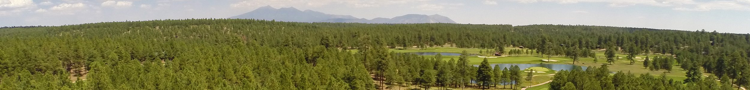 Forest Highlands Golf Club - Login