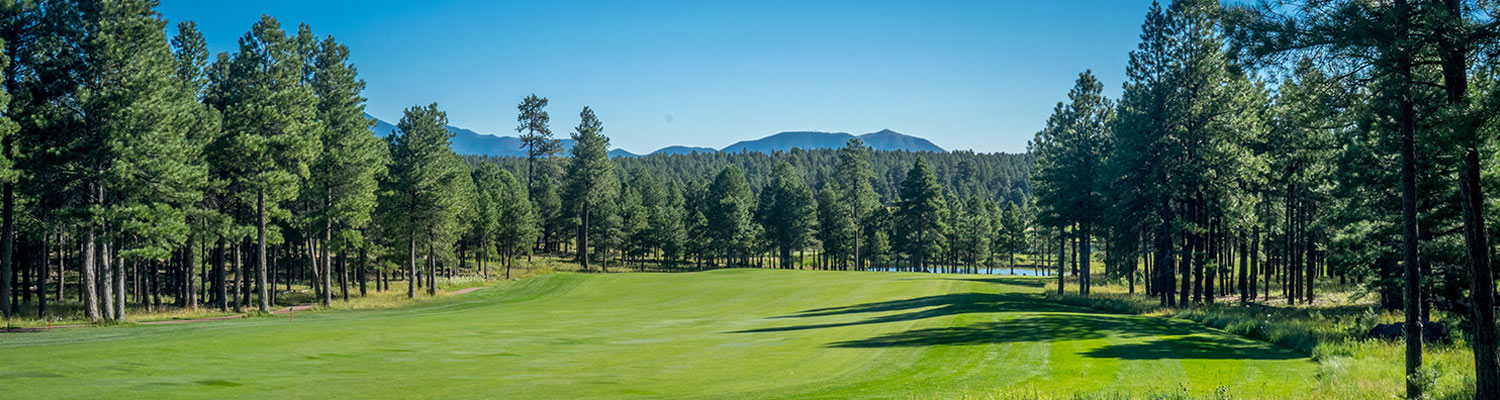 Login - Forest Highlands Golf Club